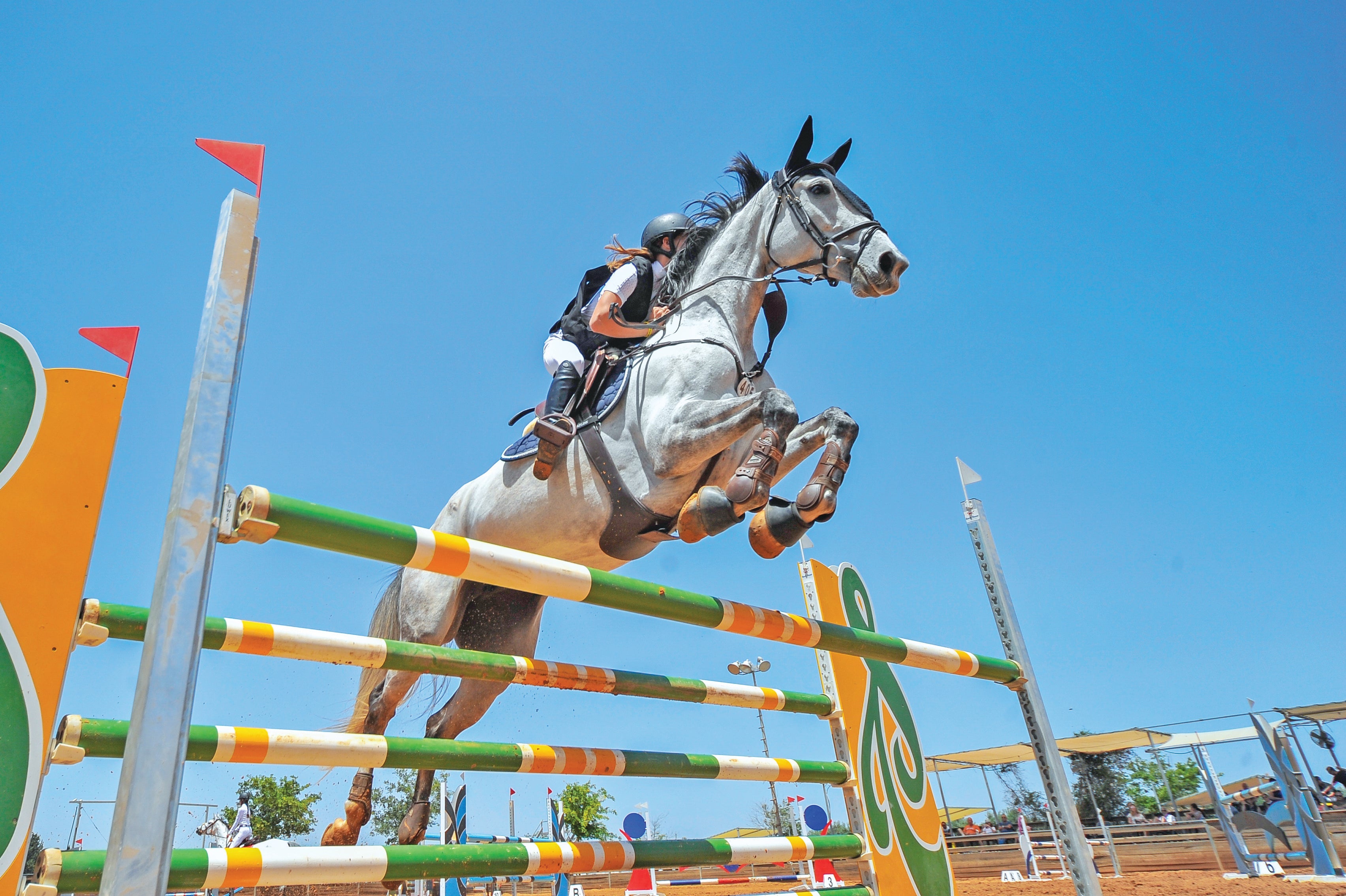 10 Ways to Relieve Joint Stiffness in Horses – Summit Animal Health