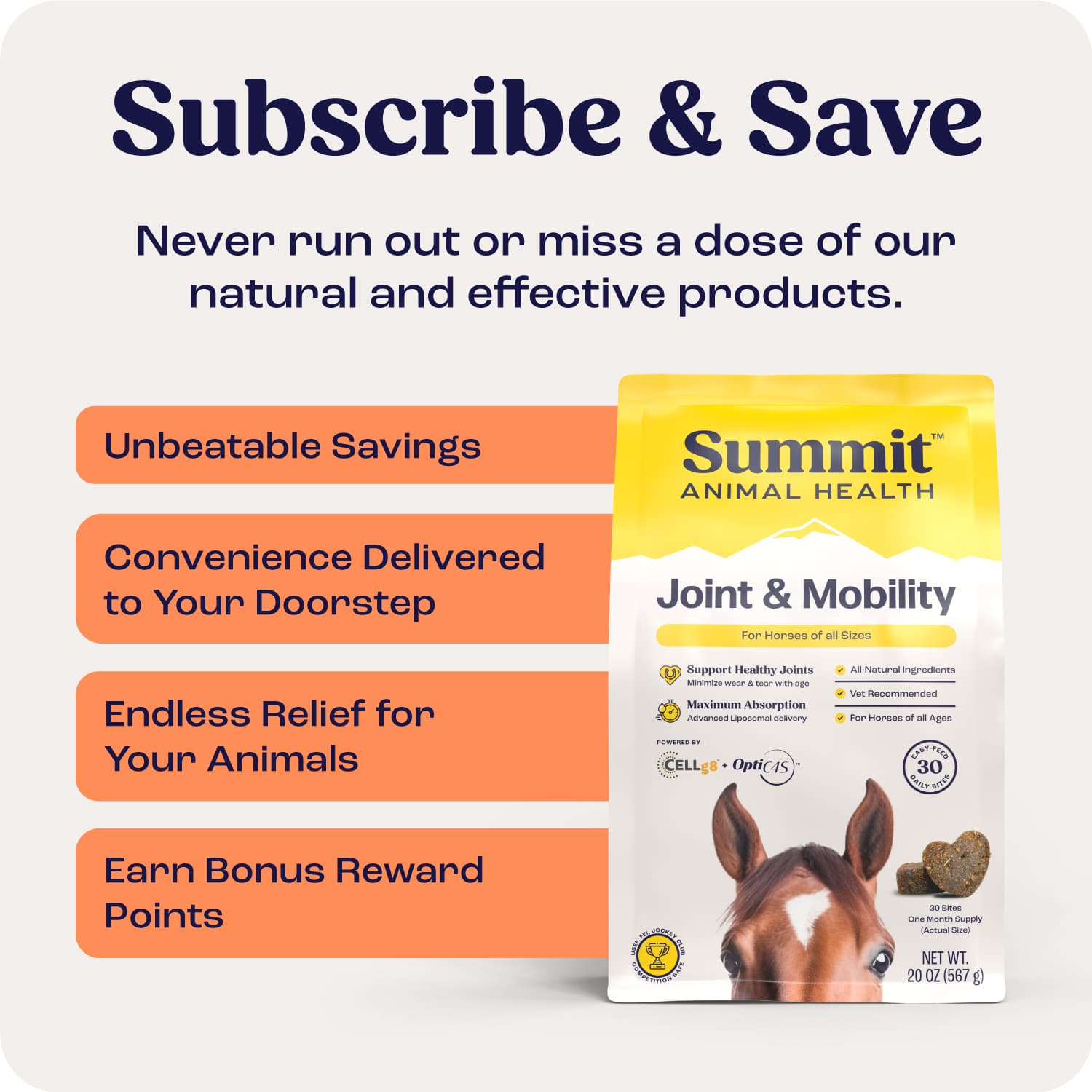 Joint Mobility Bites for Horses - Summit Horse Supplement – Summit ...