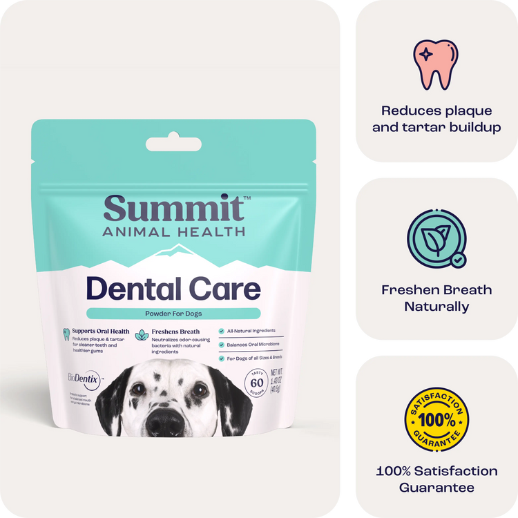 Dental Care for Dogs – Summit Animal Health