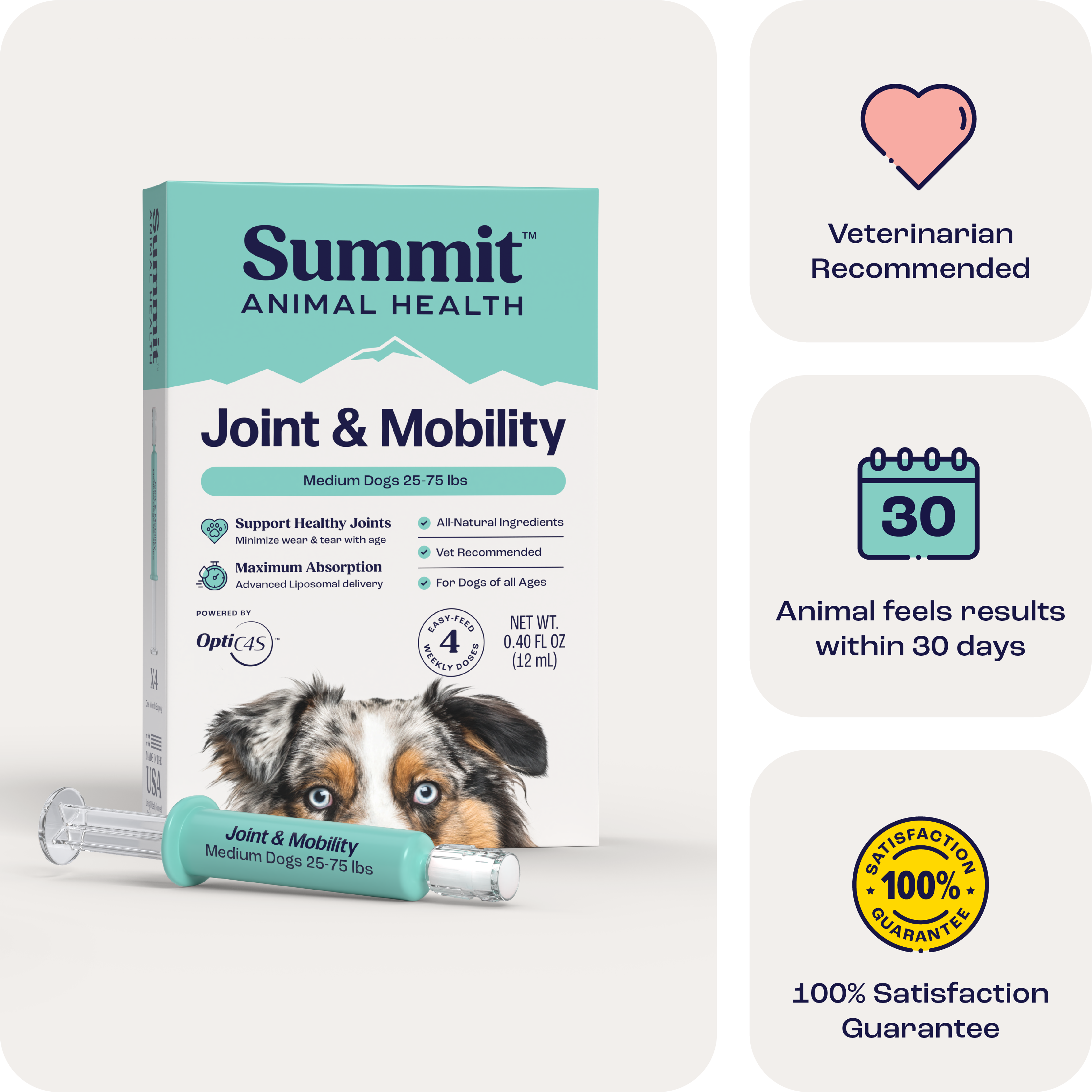 Summit Joint and Mobility Supplements for Medium Dogs | Formerly LIFT ...
